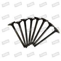 China Shuailing T6 15/04- OE Number 1003014FD040 Intake Valve for 2007- Automotive Parts for sale