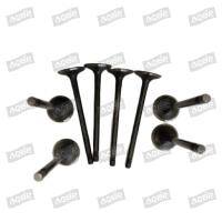 China Shuailing T6 15/04- OE Number 1003014FD040 Intake Valve for 2007- Automotive Parts for sale