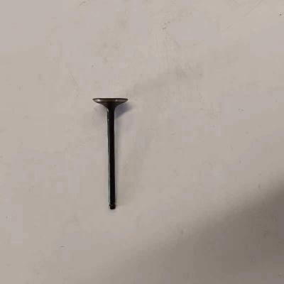 China JAC REFINE Intake Valve/Group OE 1003202GA Car Lights Number for Improved Performance for sale