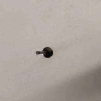 China JAC REFINE Intake Valve/Group OE 1003202GA Car Lights Number for Improved Performance for sale
