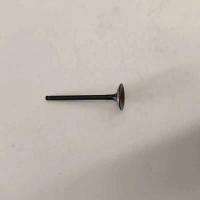 China JAC REFINE Intake Valve/Group OE 1003202GA Car Lights Number for Improved Performance for sale
