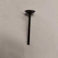 China JAC REFINE Intake Valve/Group OE 1003202GA Car Lights Number for Improved Performance for sale