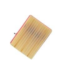 China Top- S11090010-A7 OE Number Professional Spare Parts for JAC Sunray Air Filter Element for sale