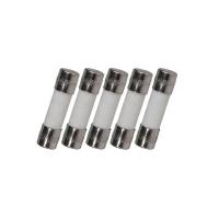 China T10AH250V Cartridge Ceramic Fuse 5X20mm 10A 250V for sale