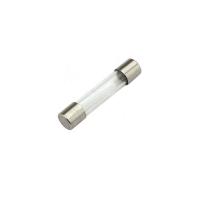 China 20A 250V Fast Blow Glass Fuse 5.5*21mm for Power Supply Unit repair for sale