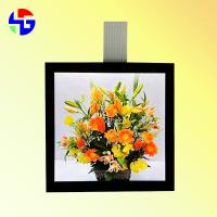 China Square 480x480 Security TFT Monitor 3.95 Inch MIPI Interface for sale