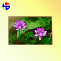 China 10.1 Inch LVDS Interface 40PIN Large Industrial Capacitive Touchscreens 1280x800 for sale