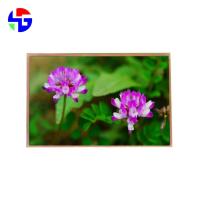 China 10.1 Inch LVDS Interface 40 Pin TFT LCD Display 1280x800 for sale