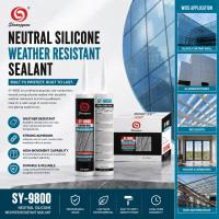 China SY-9800 Facade Neutral Silicone Sealant, Weather & Crack Resistant Anti-Aging Glue for Glass, Aluminum and Outdoor Building Sealing Applications for sale