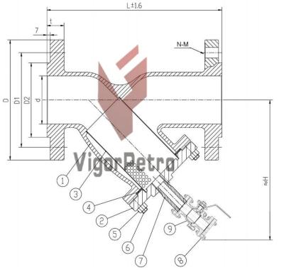 China Strainer Y Type 6