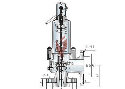 China Conventional Safety Relief Valve A44 1