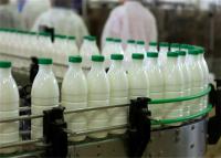 China Small Scale Yogurt Processing Equipment - 2-500T/D Capacity, ISO Certified Milk Processing Unit for sale