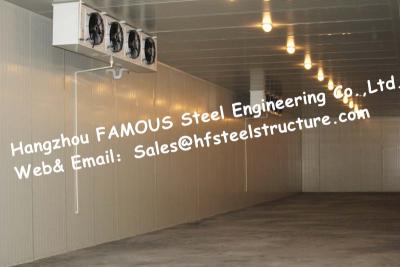 China Frozen Freezer Walking Store And PU Panel Made Walk in Freezer For Fruits And Vegetables for sale