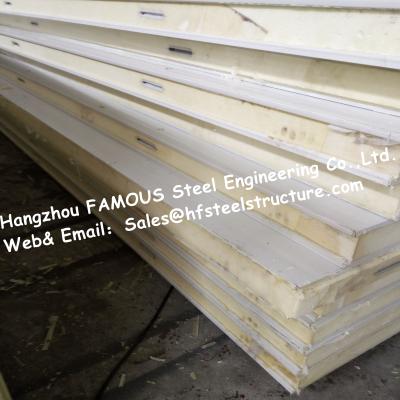 China Insulated 75mm 100mm Floor / Ceiling Cold Room Panel For Fruit Vegetables for sale
