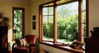 China Create Peaceful Quiet Environment Glass Curtain Wall With Sound Insulating Steel Windows And Doors for sale