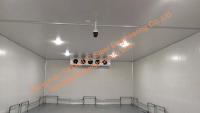 China Refrigeration equipment cold room used for supermarket fish and meat keeping frozen for sale