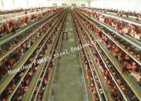 China Prefabricated Steel Structure Poultry Farming Shed For Chicken Farm Building And Cattle Farm Building for sale
