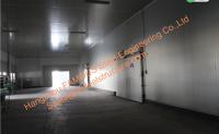 China Walk In Ultra Low Temperature Cold Room Panel Storage Fireproof For Meat / Fish / Fruit / Vegetable / Flower for sale