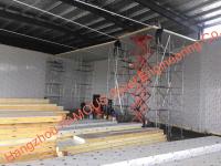 China CE certified Commercial 10 Years Warranty Cold Room, Cold Storage for Frozen Meat, Seafood, Vegetable and Fruits for sale