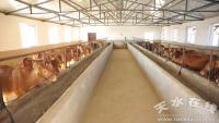 China Pre-engineered Steel Framing Systems for Livestock Housing with 50+ Year Lifespan and 3000 m² Construction Capacity for sale