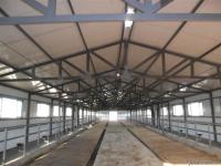China Durable Prefabricated Steel Framing Systems for Livestock - 3000 m² Construction in 30 Days with 50+ Year Lifespan for sale