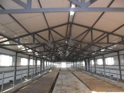 China Durable Prefabricated Steel Framing Systems for Livestock - 3000 m² Construction in 30 Days with 50+ Year Lifespan for sale