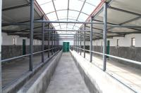 China Prefabricated Steel Structural Warehouse Workshop with Q235/Q345 Steel Grades and 50+ Year Service Life for Industrial & Agricultural Buildings for sale