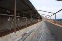 China Hot/Cold Rolled Galvanized Clearspan Steel Framing Systems with H-Shape Columns for 5000m²+ Industrial Buildings for sale