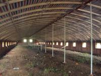 China Reusable Fabricated Steel Chicken Shed Systems - Q235/Q345 Steel Grade, 3000 m² Construction Capacity, 50+ Year Service Life for sale