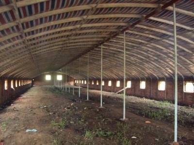 China Reusable Fabricated Steel Chicken Shed Systems - Q235/Q345 Steel Grade, 3000 m² Construction Capacity, 50+ Year Service Life for sale
