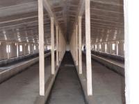 China STL-025 Steel Sandwich Panel Poultry Framing System with 50-Year Durability and 600mg Galvanized Coating for sale