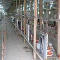 China STL-025 Steel Sandwich Panel Poultry Framing System with 50-Year Durability and 600mg Galvanized Coating for sale