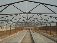China Noiseproof Insulation Chicken Shed Framing System with 50+ Year Service Life and 3000 m² Construction Capacity for sale