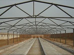 China Noiseproof Insulation Chicken Shed Framing System with 50+ Year Service Life and 3000 m² Construction Capacity for sale