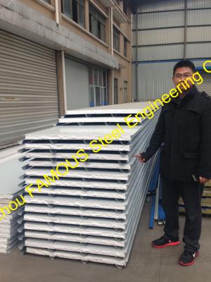 China Structural Insulated Sandwich Panels EPS 100mm Environmental for sale