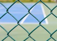 China PVC Diamond Mesh Fencing Roll 12.7mm-15.9mm Mesh Size with Galvanized Steel Core and Dark Green Coating for sale