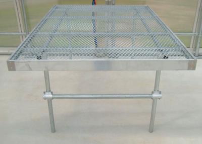 China Expanded Metal Greenhouse Benches & Shelves - 1-6m Custom Sizes with Hot-Dip Galvanized Finish for sale