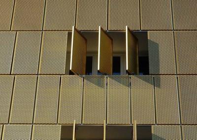 China Aluminum Expanded Metal Sunshade Panels 2.5-20mm Thickness with 0.8-1.5m Width for Building Facade Shading for sale