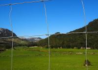 China H2.4m High Tensile Field Fence Galvanized Woven Wire Farm Fence for Livestock for sale