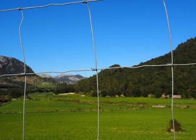 China H2.4m High Tensile Field Fence Galvanized Woven Wire Farm Fence for Livestock for sale