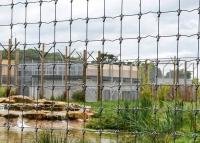 China H2.4m High Tensile Field Fence Galvanized Woven Wire Farm Fence for Livestock for sale