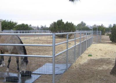 China 4 Gauge & 6 Gauge Welded Wire Horse Fence Panels 2x4 Mesh in 12-24ft Widths for sale
