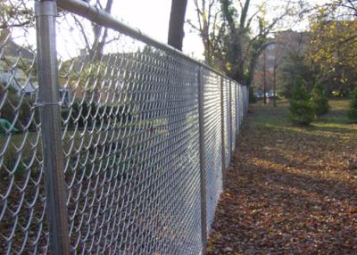 China Galvanized Chain Link Fence 50x50mm Mesh 6m Height Low Carbon Steel Wire with 2.0 oz/ft² Coating for sale
