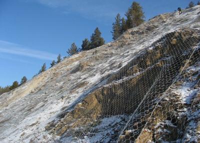 China 0.5m Width Rockfall Protection Netting - Hexagonal Galvanized Wire Mesh for Slope Safety (0.5-2m Width, 1-8m Length) for sale