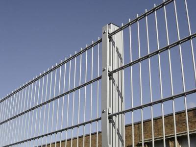 China 2500mm Double Wire Mesh Fence 50x200mm Mesh Green Galvanized Coated Security Panel for sale