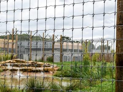 China Hot Dip Galvanised Field Fence 2m High Strength Woven Farm Fencing for sale