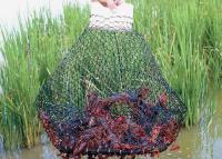 China 19 Gauge PVC Coated Woven Hexagonal Crawfish Wire Net 3/4 Inch Mesh 150 Feet for sale