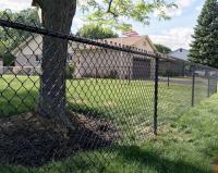 China 9 Gauge Black Vinyl Coated Chain Link Fence - 50 ft Roll Length with 36