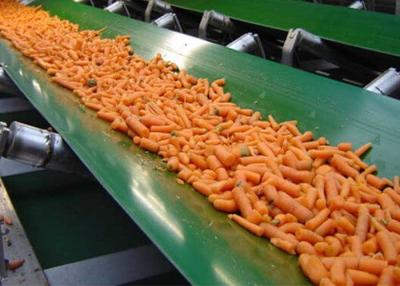 China Green PVC Conveyor Belt 2-13mm Thickness with 12-80 N/mm Tensile Strength for Industrial Applications for sale