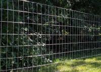 China Galvanized Welded Wire Fencing Roll 2x4 Inch Mesh 0.25-0.38 Wire Diameter 0.9-30m Length for sale